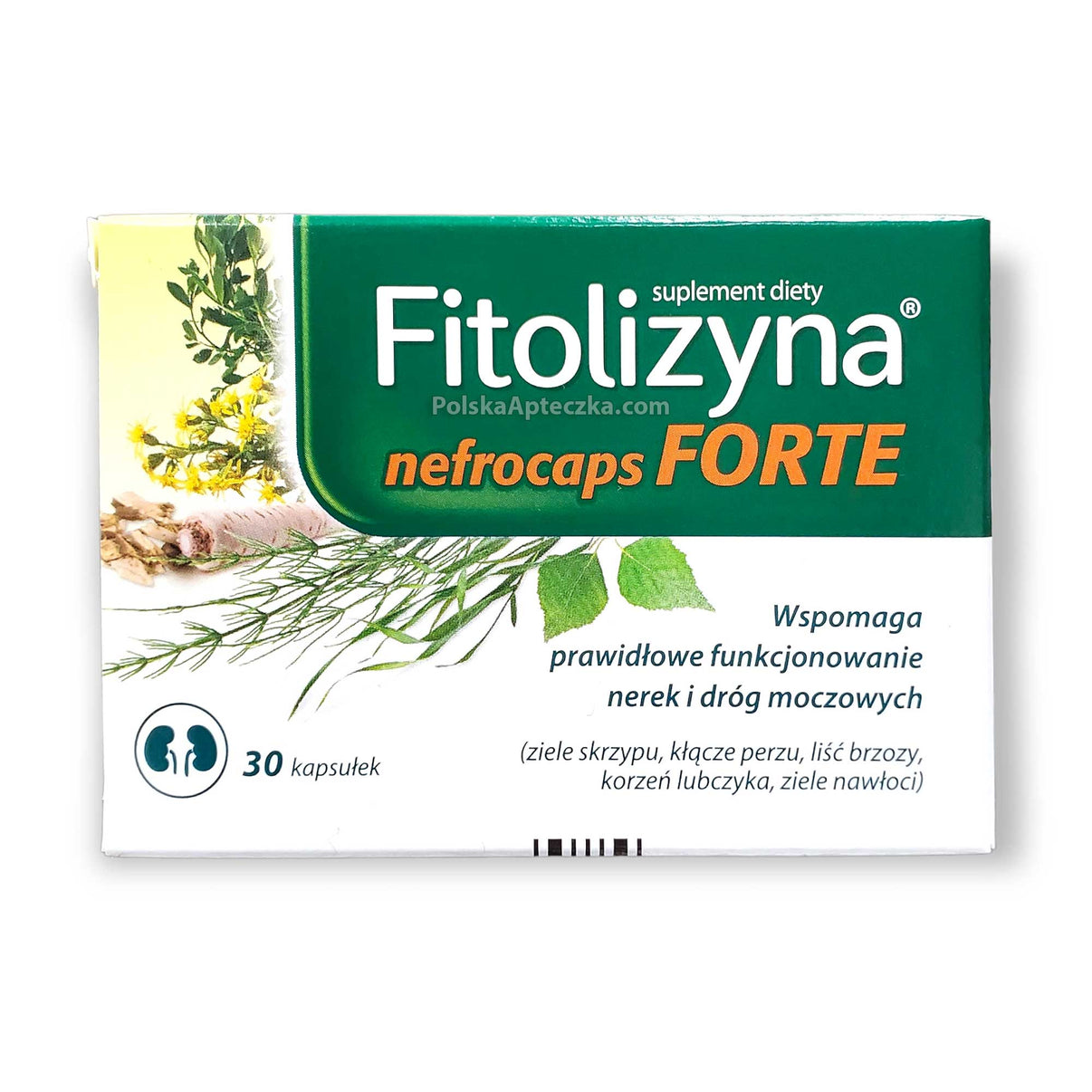 Fitolizyna Nefrocaps Forte 30 capsules – Apteczka | Proton Nutrition